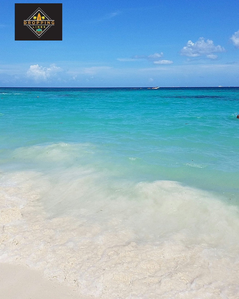 Droppings Lines Outdoor Apparel – Dropping Lines